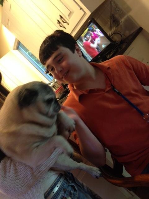 Loyal Pug Understands Autism Better Than Anyone Thought She Could - The ...