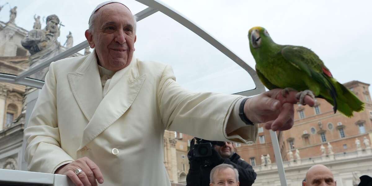 Pope Blesses Parrot After His Peace Doves Were Attacked - The Dodo
