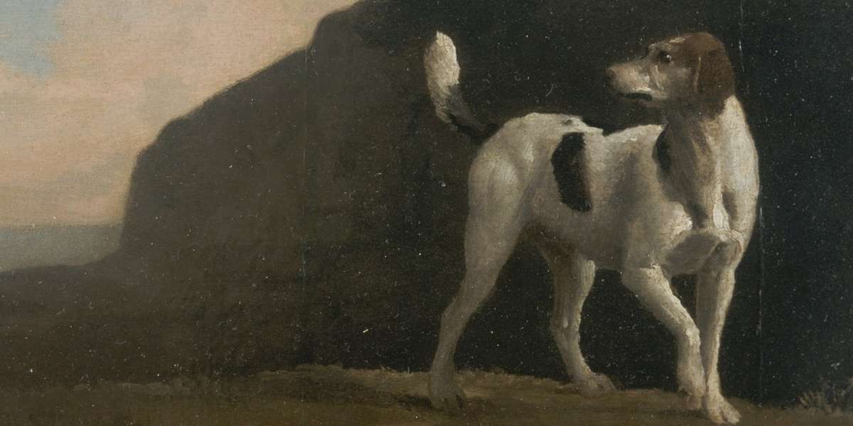 Washington's Love Of Dogs Helped Make America - The Dodo
