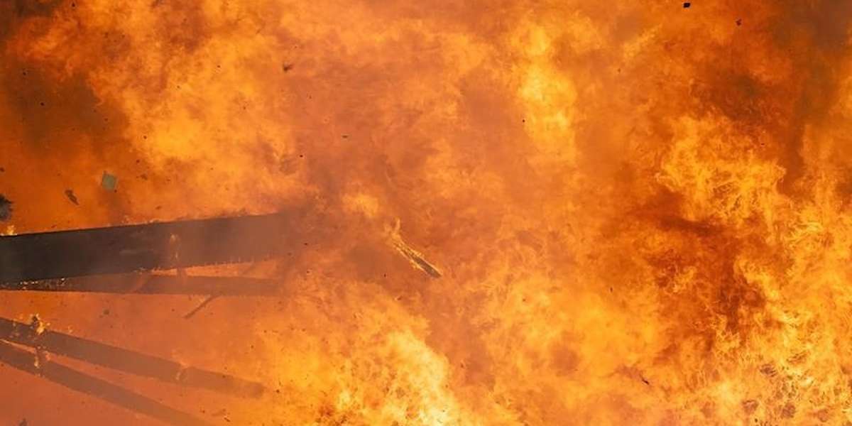 Man Rushes Into Burning Home To Save His Best Friend - The Dodo