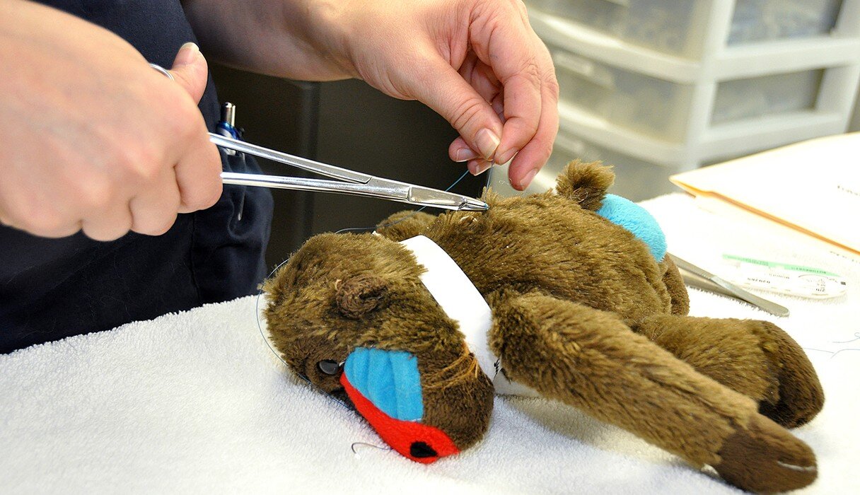 Vet Clinic Offers Free Surgery For Injured Stuffed Animals - The Dodo