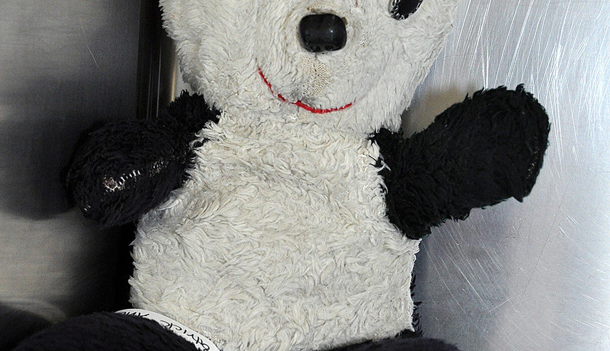 Vet Clinic Offers Free Surgery For Injured Stuffed Animals - The Dodo