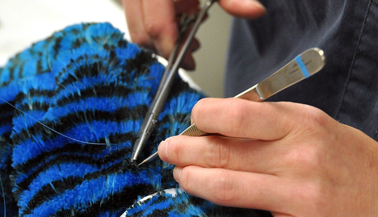 Vet Clinic Offers Free Surgery For Injured Stuffed Animals - The Dodo