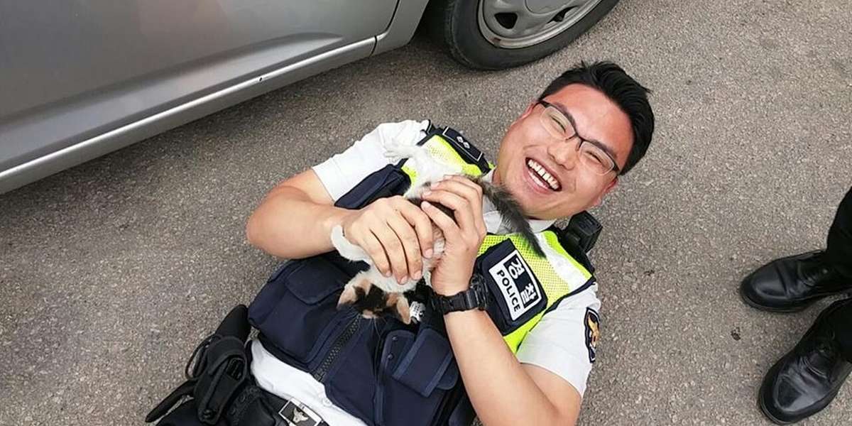 This Is The Face Of A Man Who Just Rescued A Kitten - The Dodo