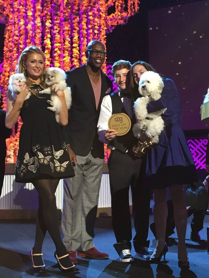 And The 'Dog Of The Year' Is ... Hank The Dog! - The Dodo