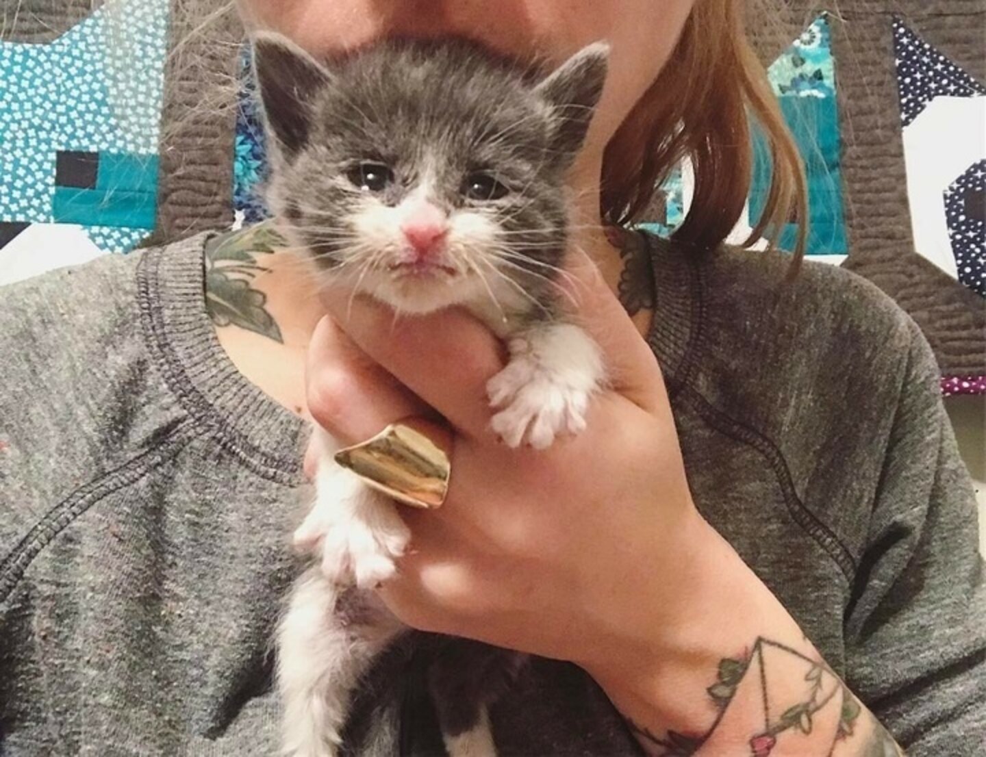 Woman Has The Best Job Ever — Rescuing The Tiniest Kittens - The Dodo