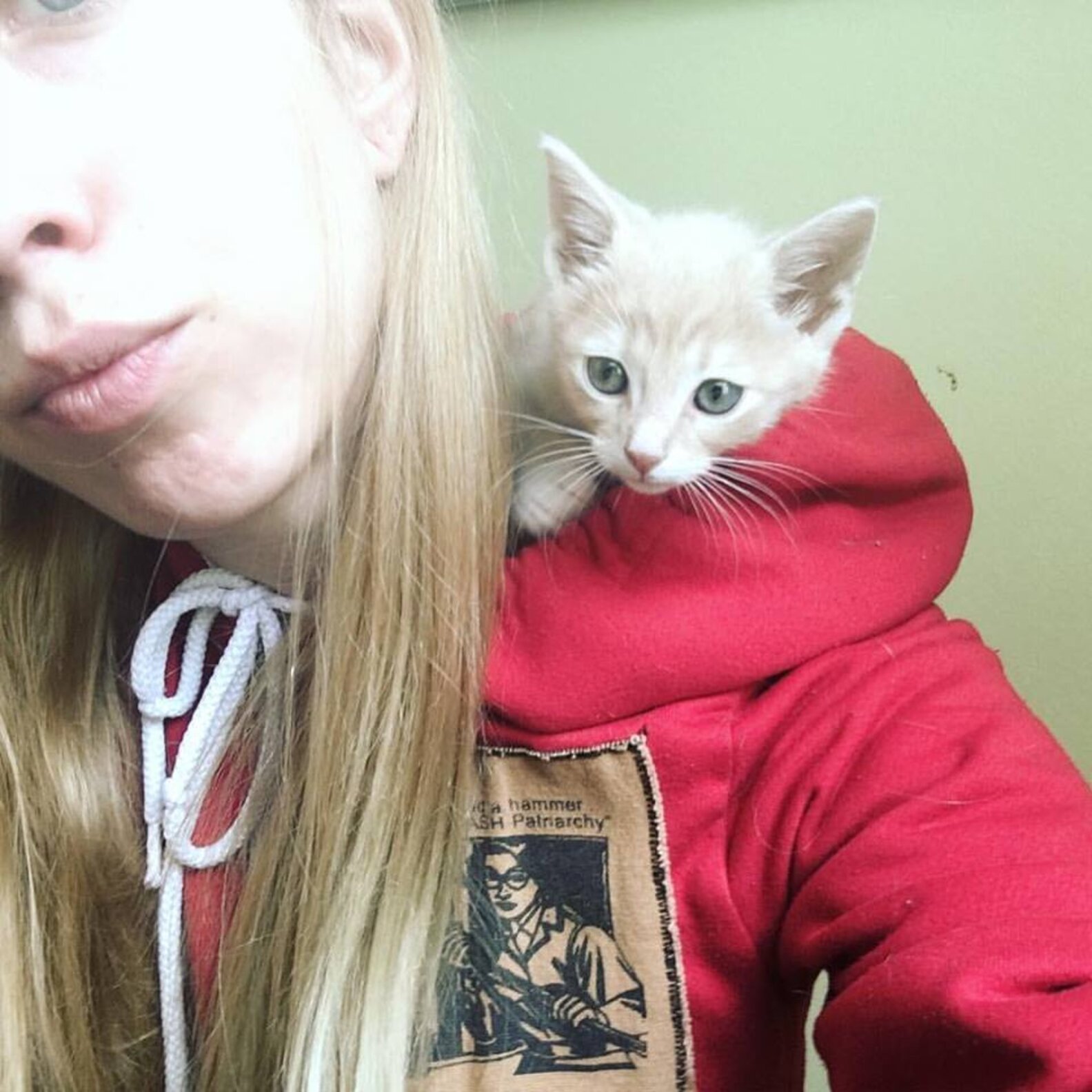 Woman Has The Best Job Ever — Rescuing The Tiniest Kittens - The Dodo