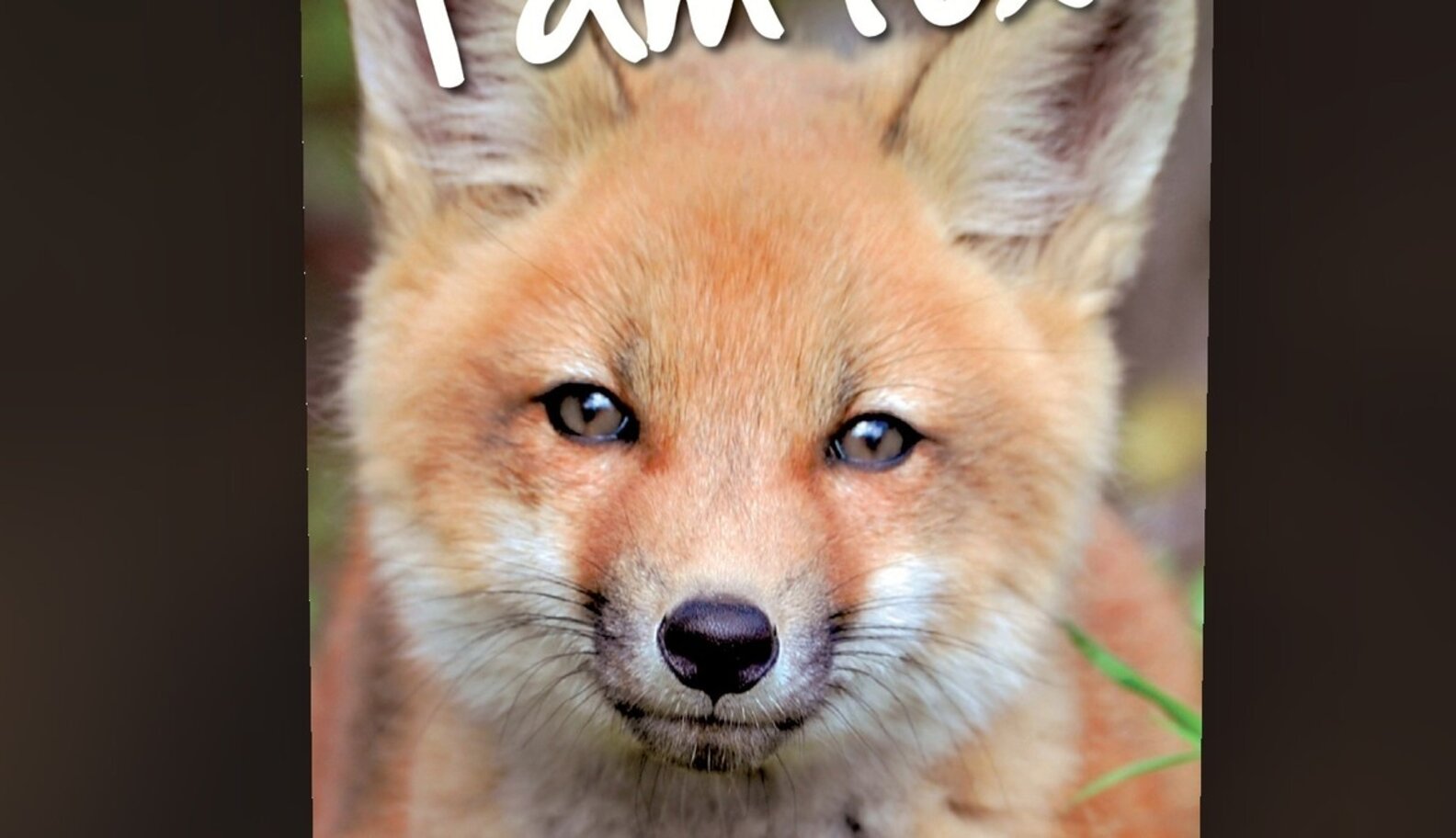 I AM FOX #KEEPTHEBAN - The Dodo