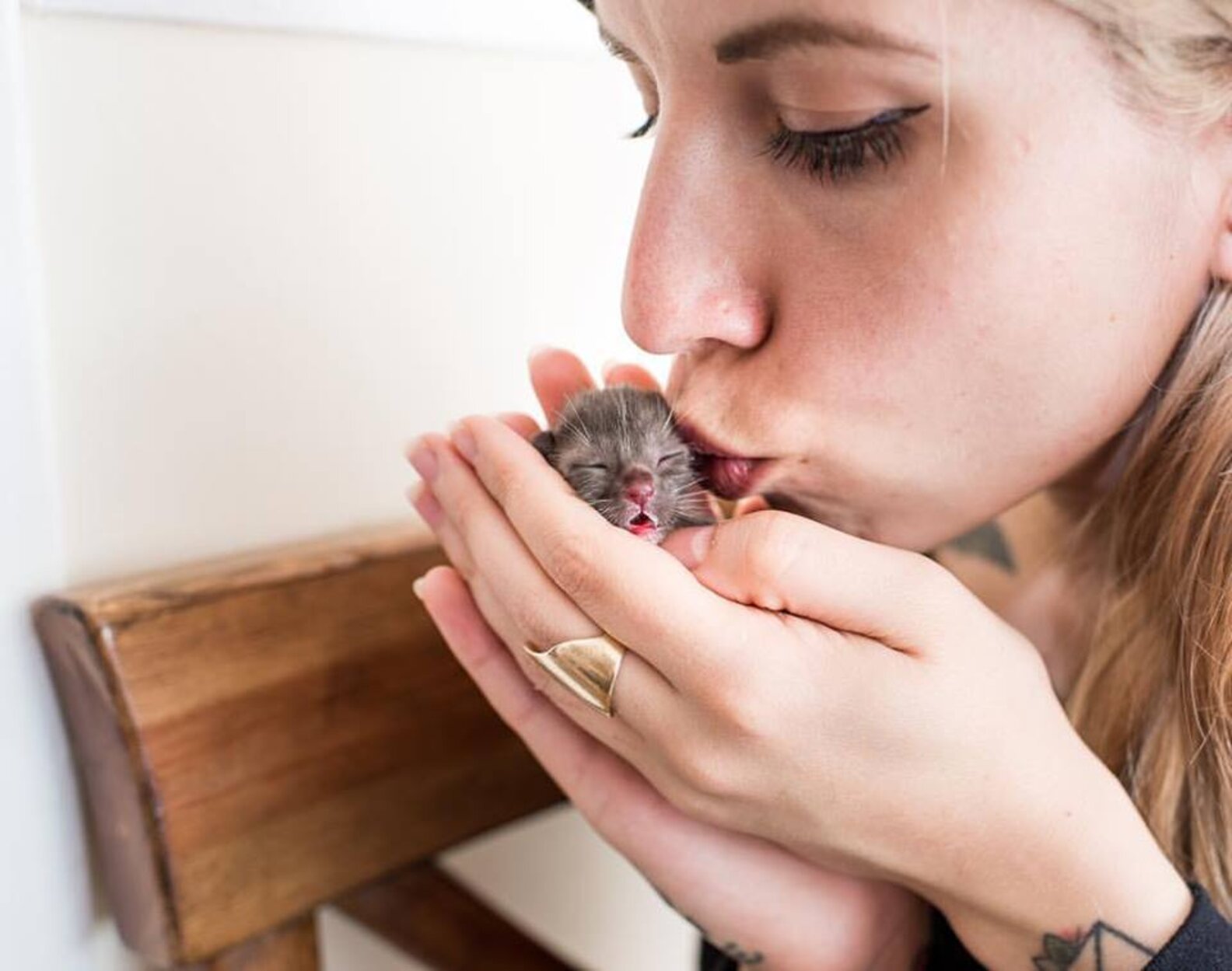 Woman Has The Best Job Ever — Rescuing The Tiniest Kittens - The Dodo