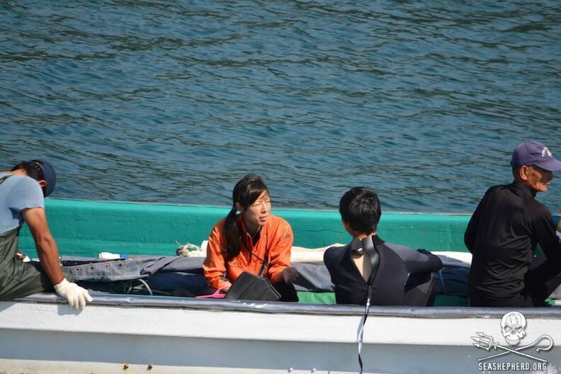 Taiji Hunt Captures 4 Dolphins, Leaves Their Orphaned Babies Behind ...