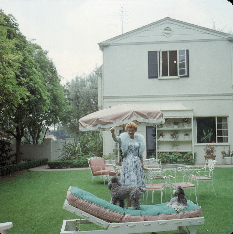 Cruella Complex: Women With Dogs Who Wear Fur - The Dodo