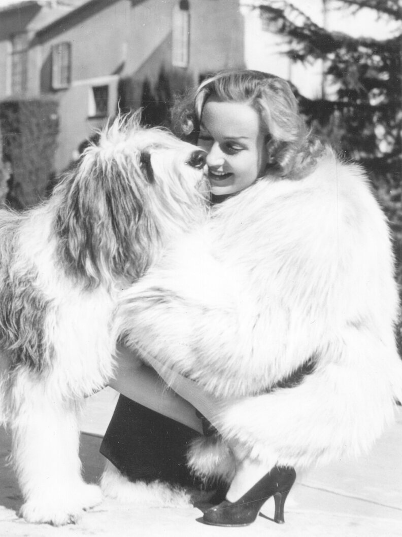 Cruella Complex: Women With Dogs Who Wear Fur - The Dodo