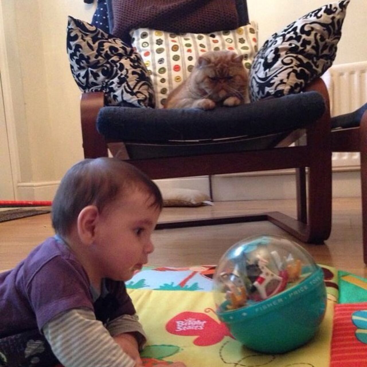 31 Cats Who Are Obviously Excellent Babysitters - The Dodo