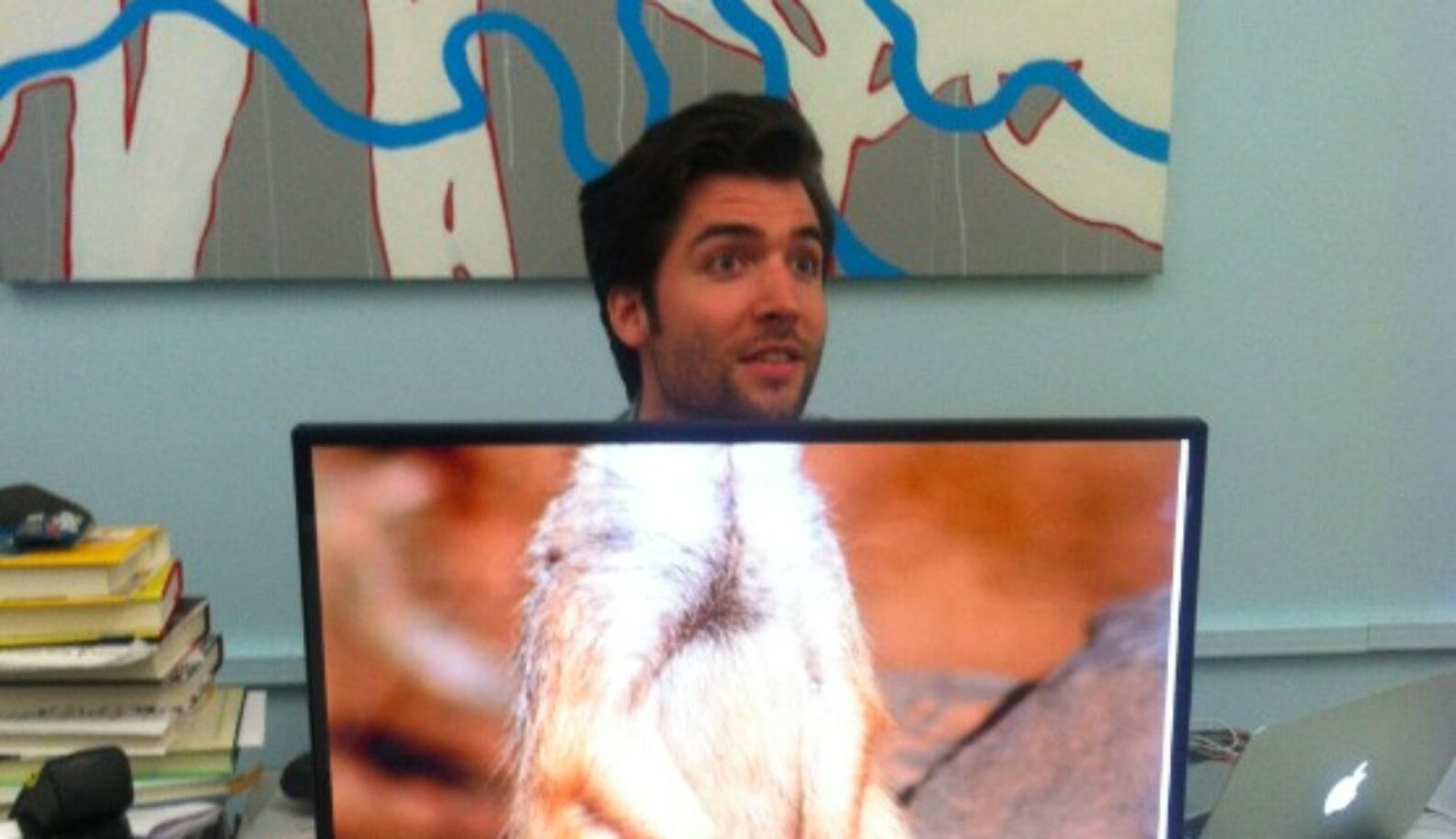 "Office Safari" Is The Best Internet Meme Since Doge - The Dodo