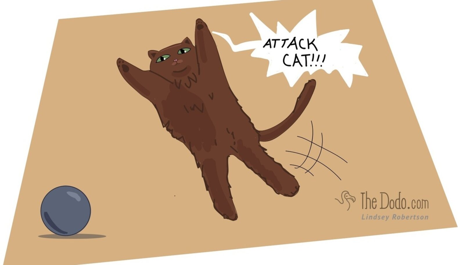 The 8 Types Of Cats Everybody Meets In Life - The Dodo