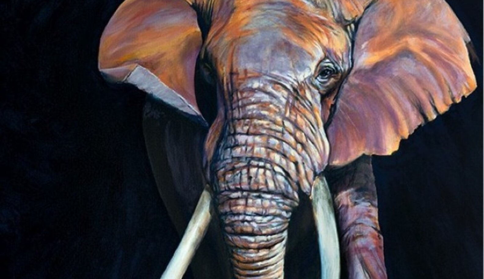 The Truth About Tusks - The Dodo