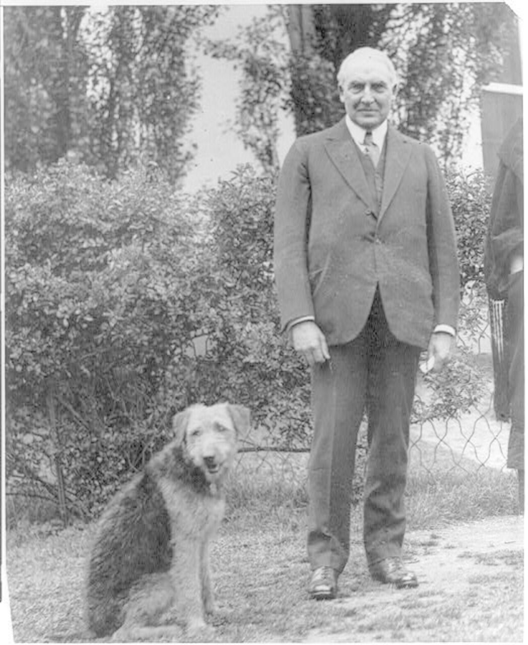 5 Great Dogs Who Changed The Course Of Presidential History - The Dodo