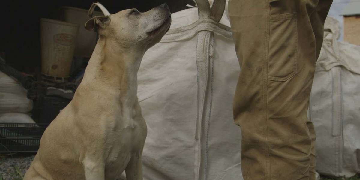 I Was A 'Monster' To Animals — But My Dog Made Me Stop - The Dodo