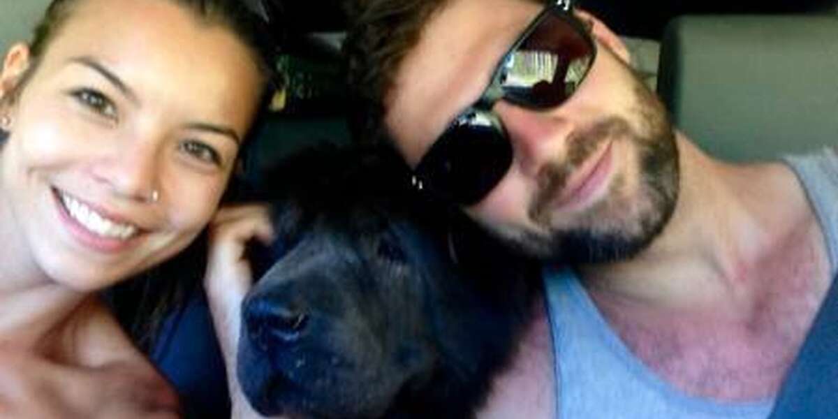 Dog with melon-sized growth gets new leash on life - The Dodo
