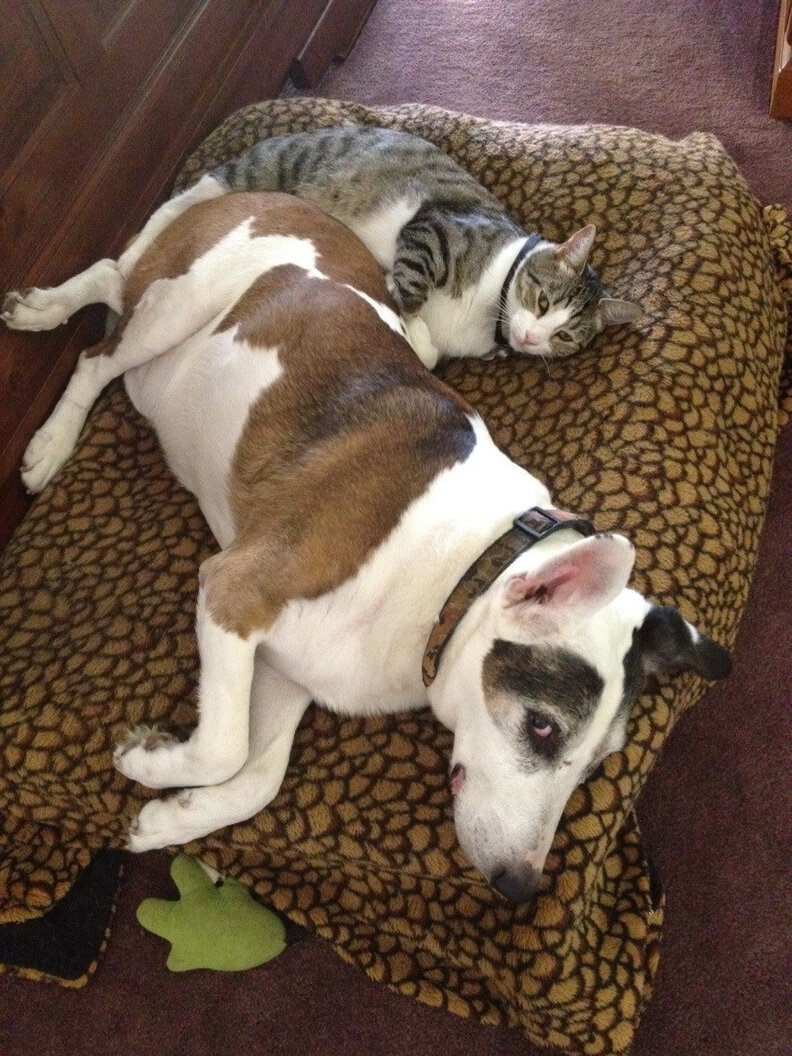 Big Spoon Little Spoon Cuddling