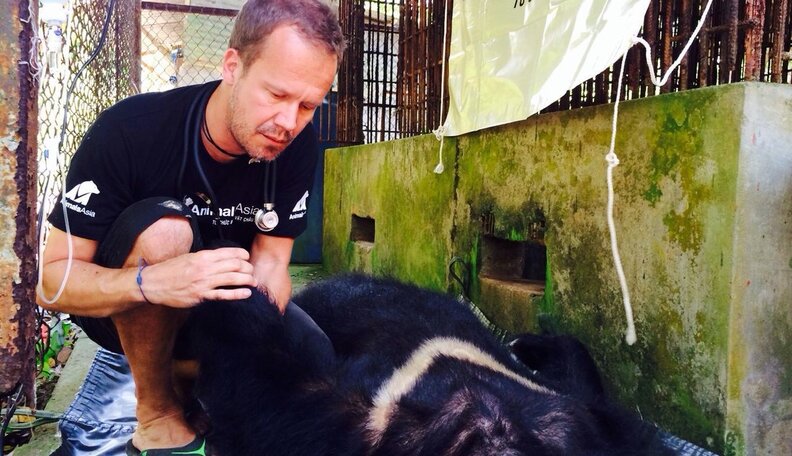 Traumatized Moon Bears Spent Life In Cages, Now En Route To Freedom ...