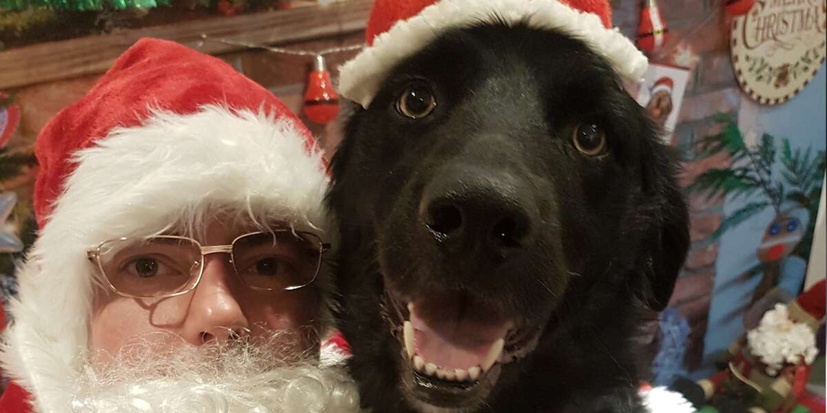 Dogs Get The Best Christmas Present When Santa Shows Up At Day Care ...