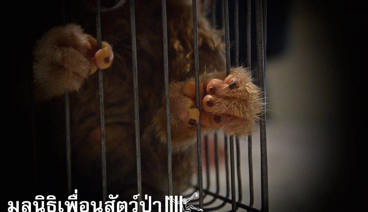 These Animals Almost Lost Their Lives — Thanks To Facebook - The Dodo