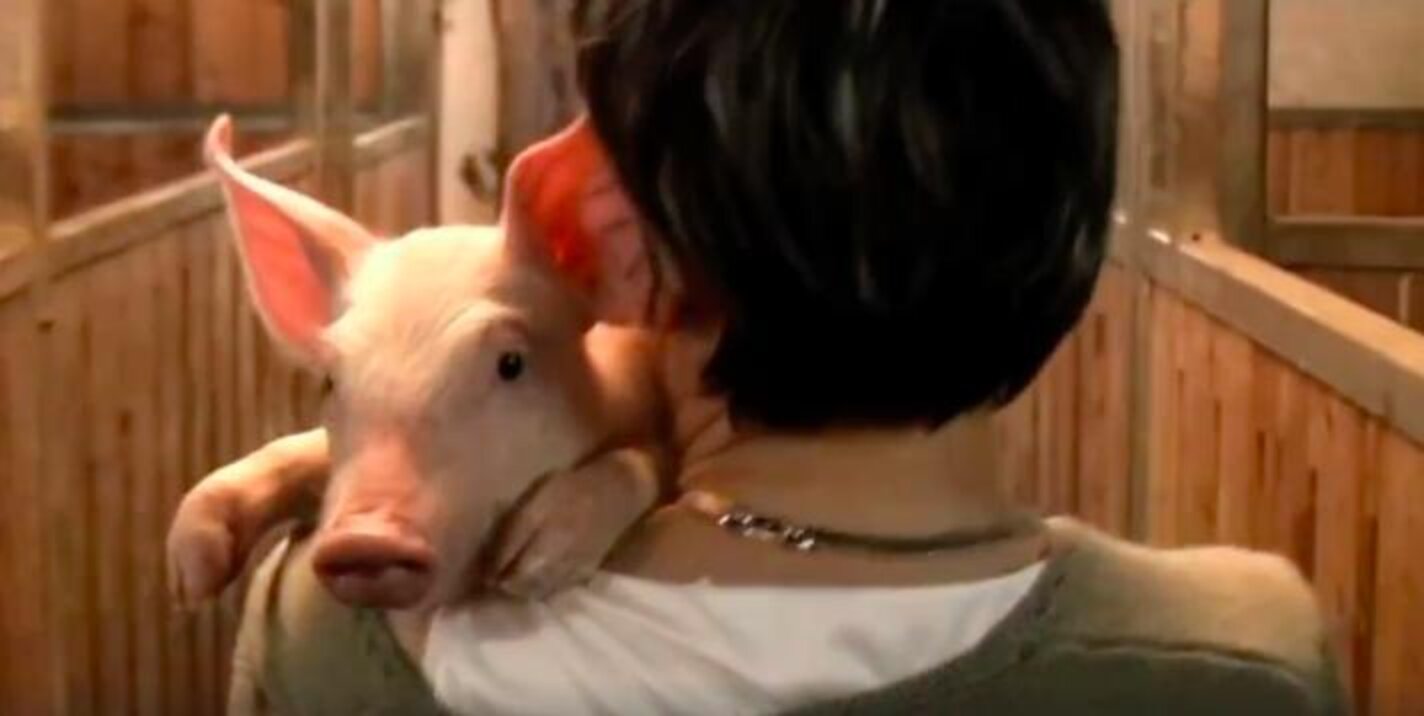 Rescued Piglet Explores The World For The Very First Time - The Dodo