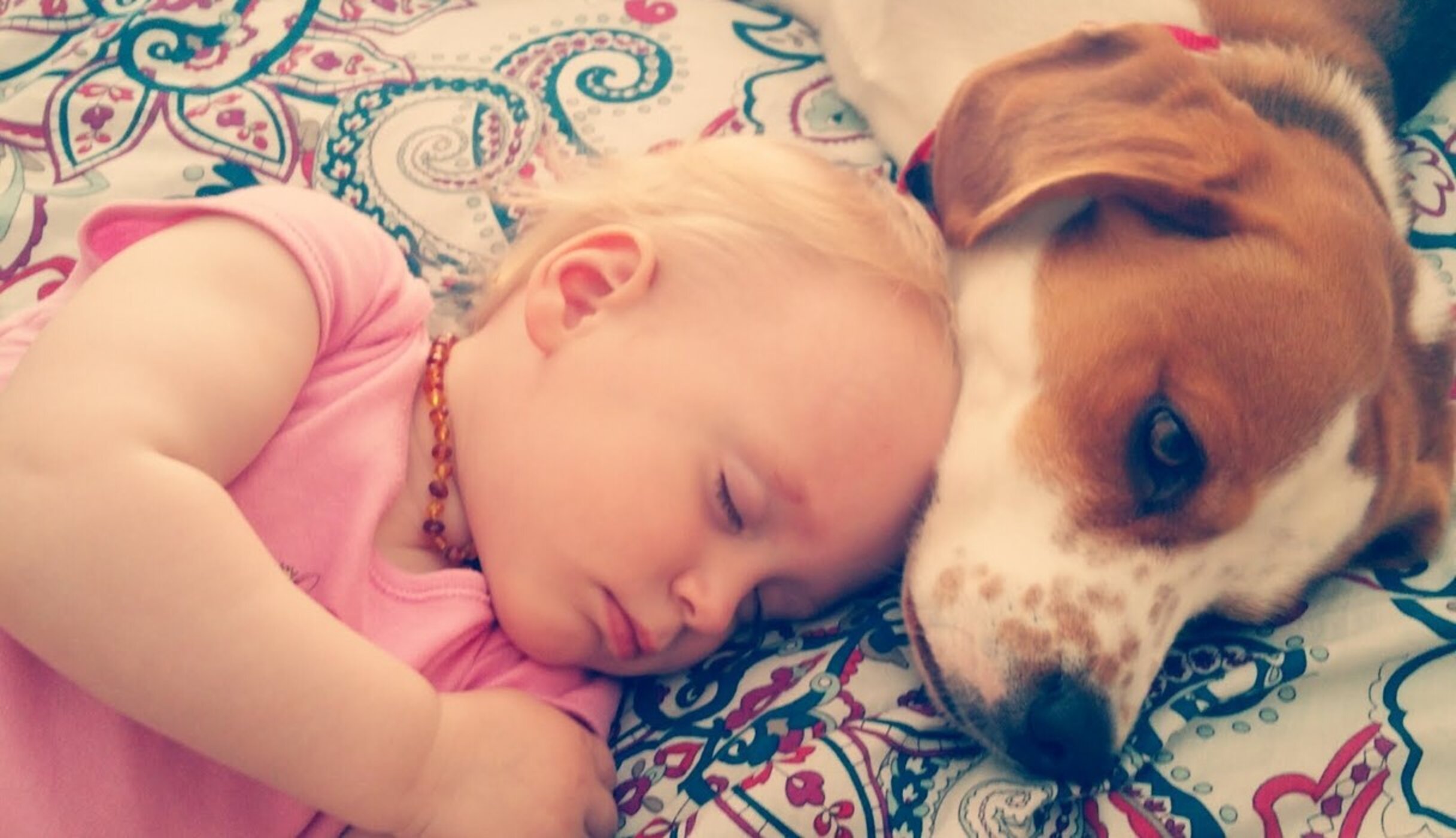 Dog Watches Over His Baby As She Grows Up - The Dodo