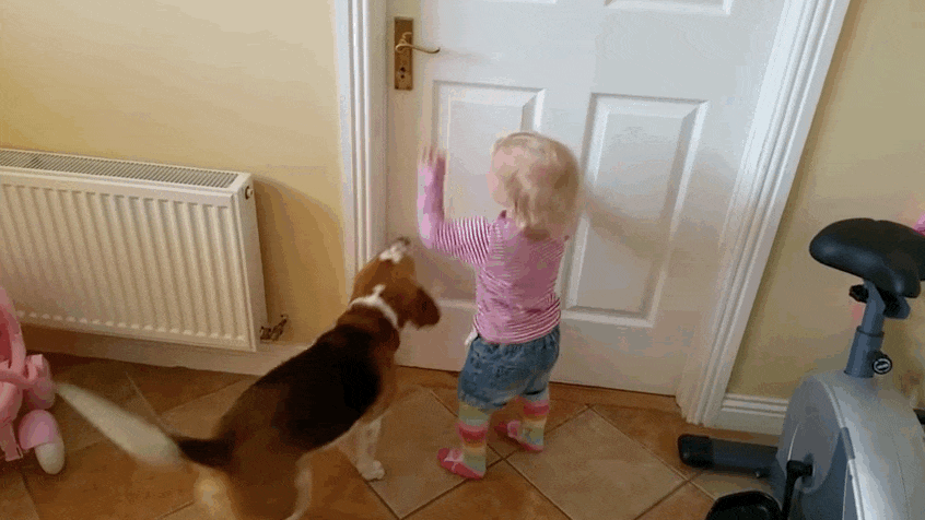 Dog Watches Over His Baby As She Grows Up - The Dodo