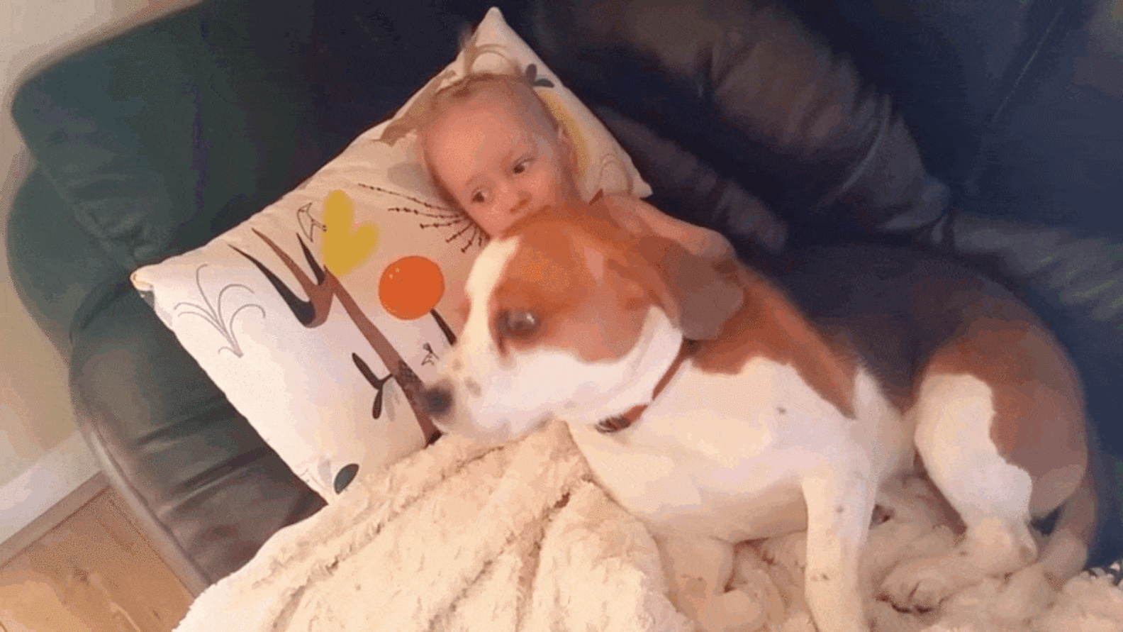Dog Watches Over His Baby As She Grows Up - The Dodo