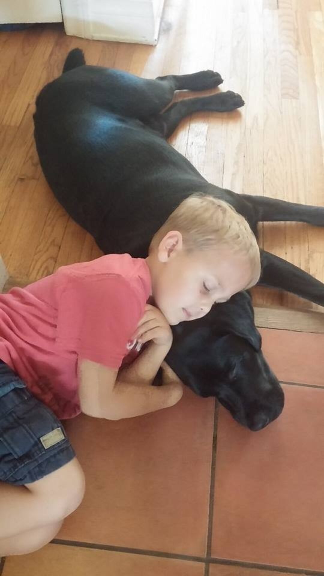 Dog Helps Save His Little Boy's Life Every Single Day - The Dodo