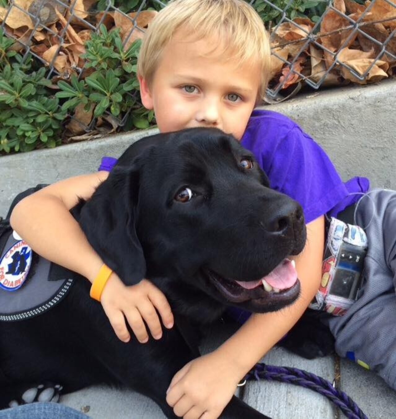 Dog Helps Save His Little Boy's Life Every Single Day - The Dodo