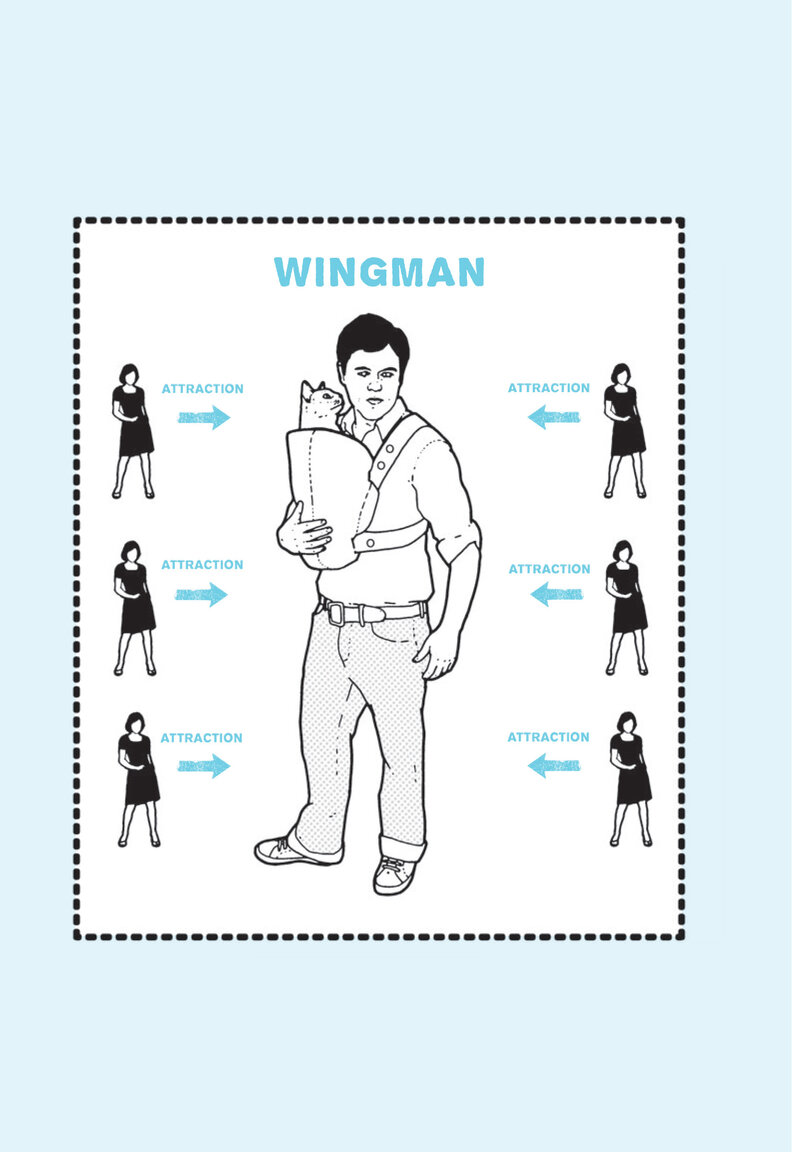 Your Cat, The Ultimate Wingman - The Dodo