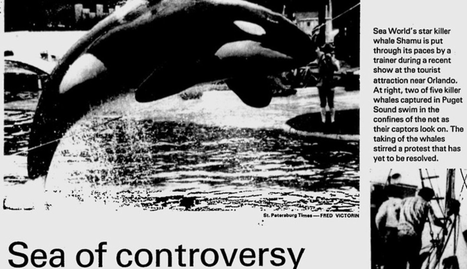 Photos Don't Lie: SeaWorld Has Been Ignoring Protests For Nearly 50 ...