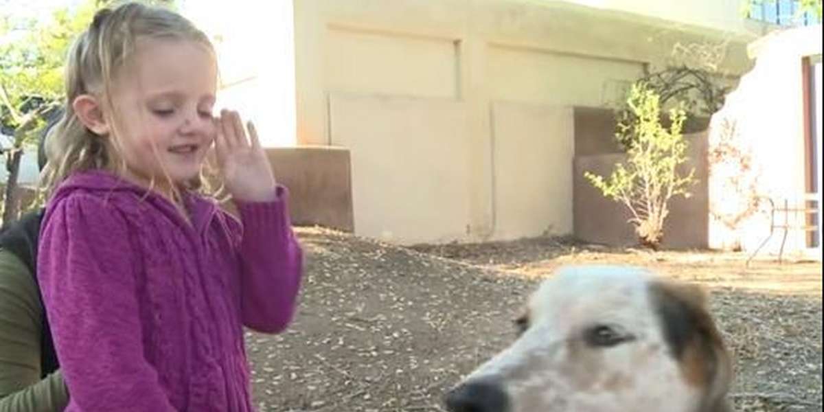 Little Girl Teaches Dog Sign Language So They'll Never Be Alone - The Dodo