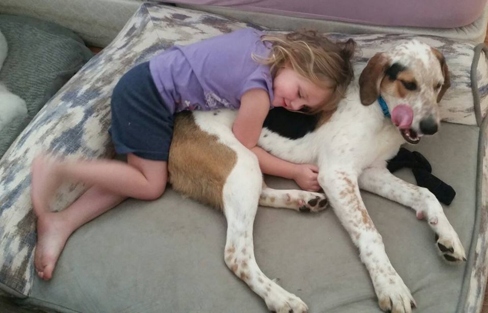 Little Girl Teaches Dog Sign Language So They'll Never Be Alone - The Dodo