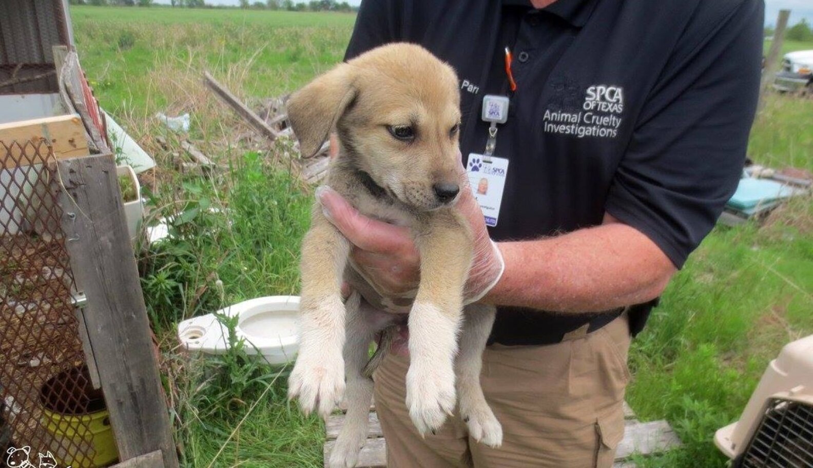 Puppies Trapped In Dirty Backyard Are So Happy To See Their Rescuers ...