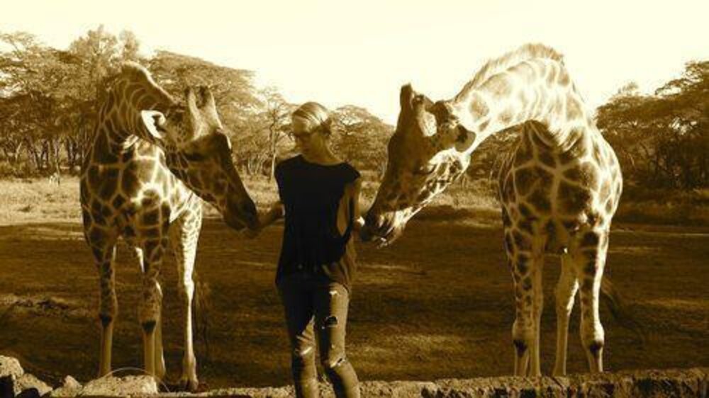 The Place Where You Can Breakfast With Giraffes - The Dodo