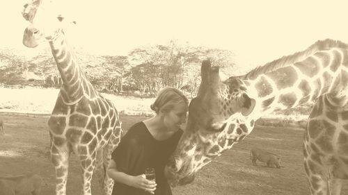 The Place Where You Can Breakfast With Giraffes - The Dodo