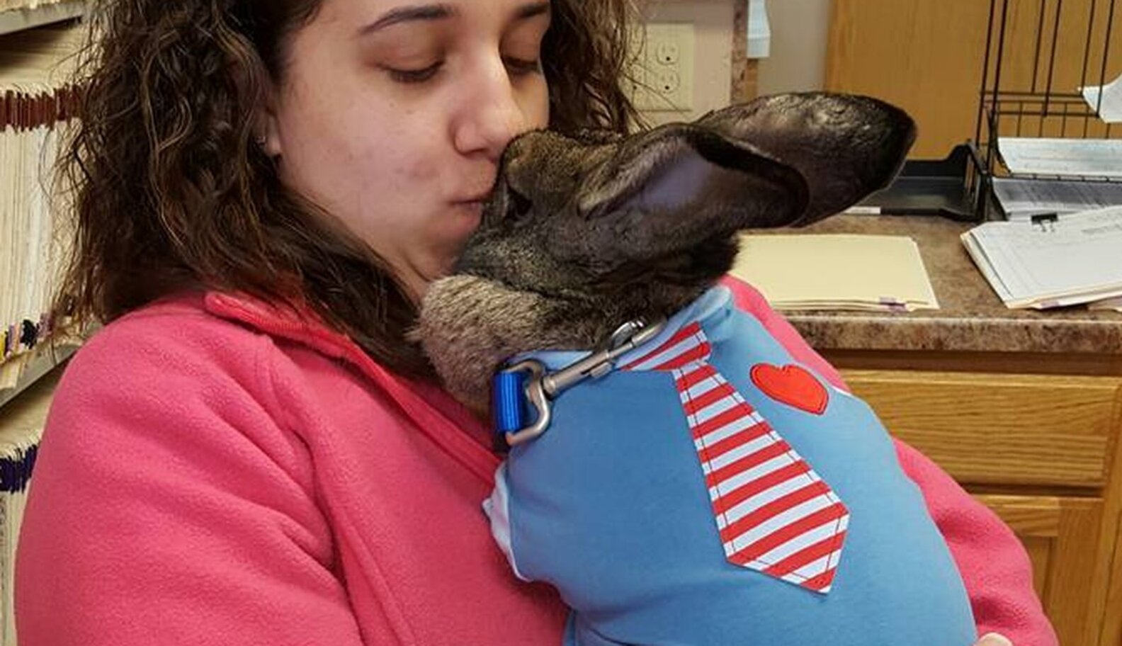 Giant Rabbits Help Kids Feel Less Alone In The World - The Dodo