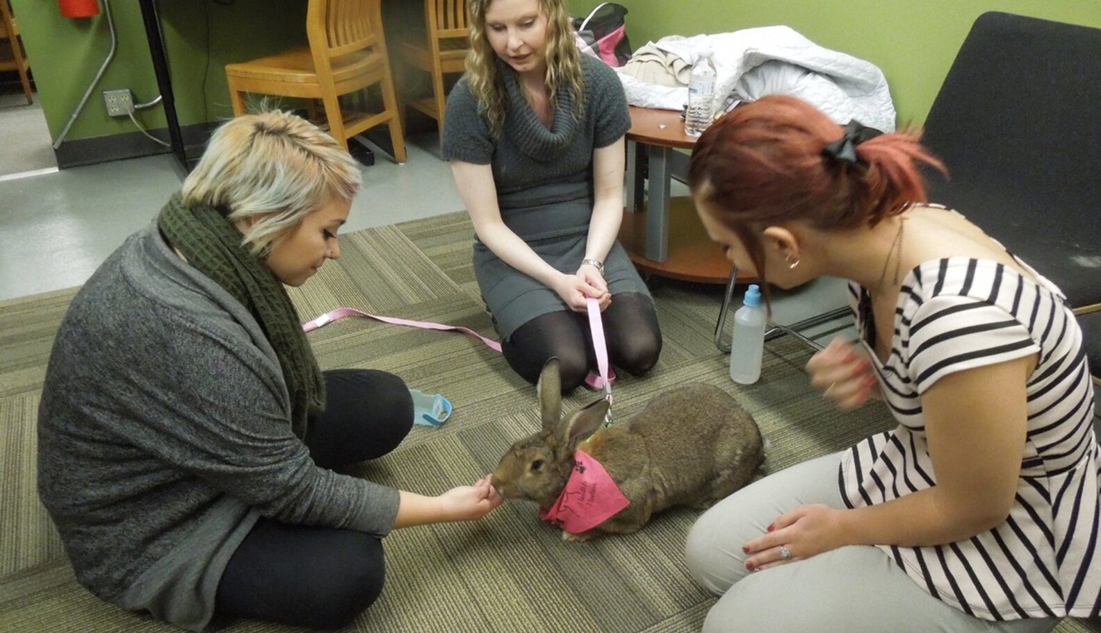 Giant Rabbits Help Kids Feel Less Alone In The World - The Dodo