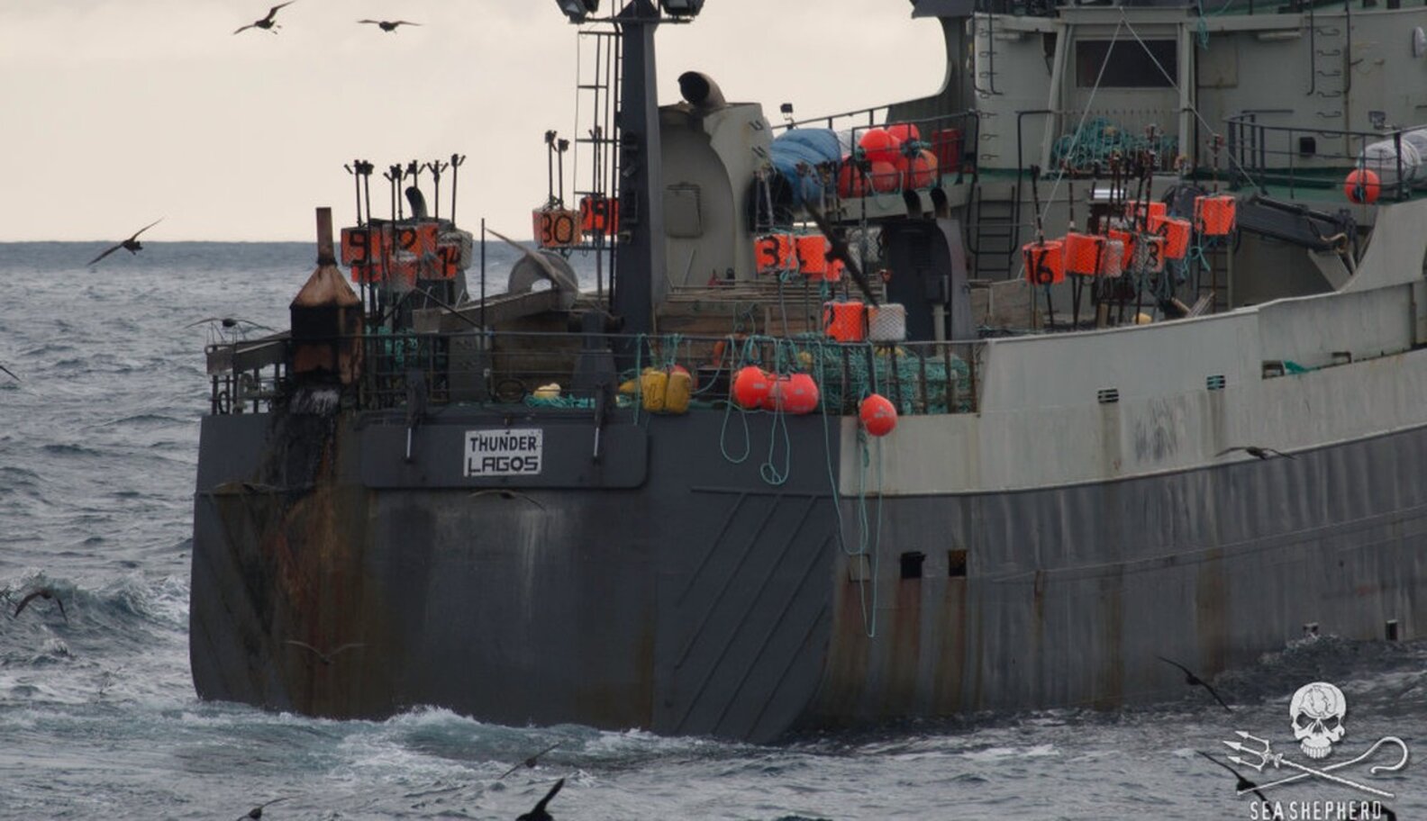 Chasing Two Known Poachers Through Australian Waters - The Dodo