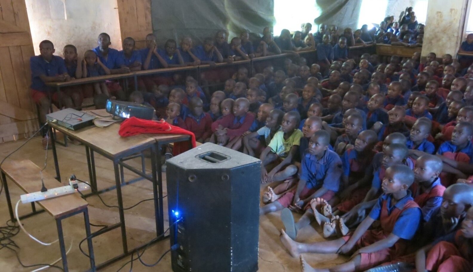 Scared Baby Elephant's Cries Saved Him From Drowning - The Dodo