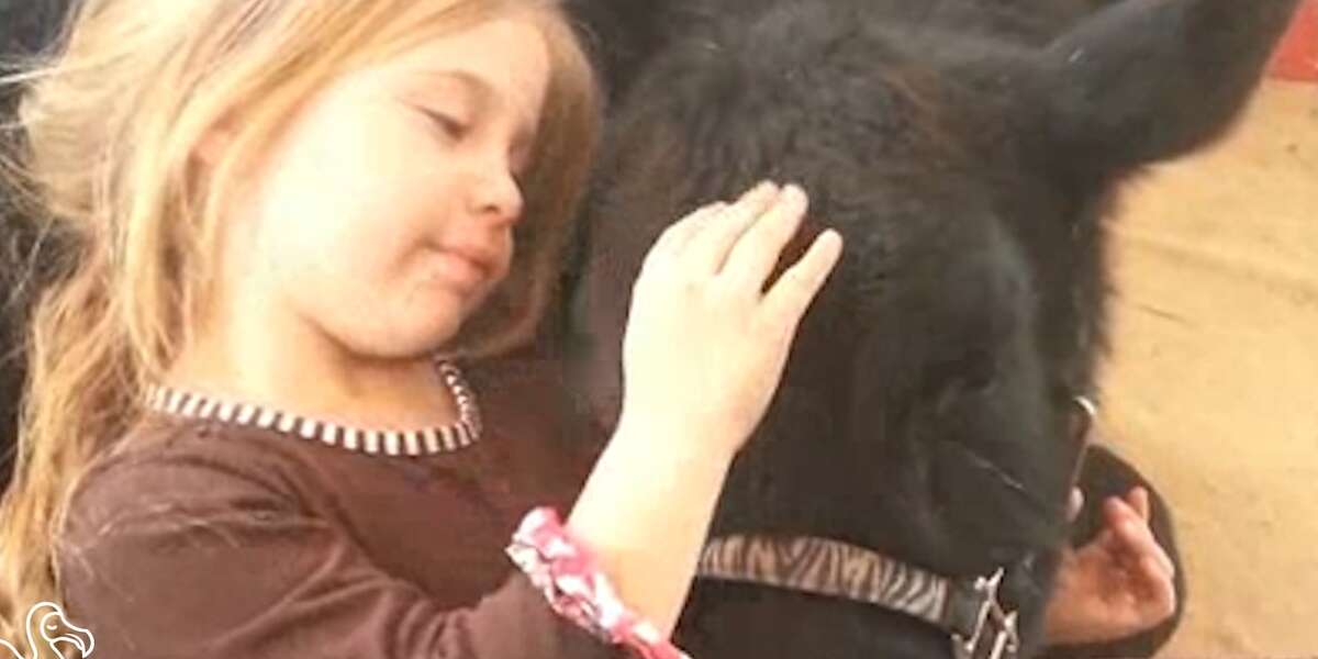 WATCH: Kids Who Just Don't Get Why Humans Hurt Animals - The Dodo