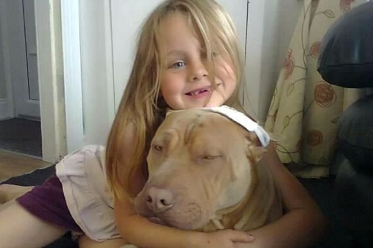Police Seize 'Pit Bull' Who Helps Little Girl With Autism - The Dodo