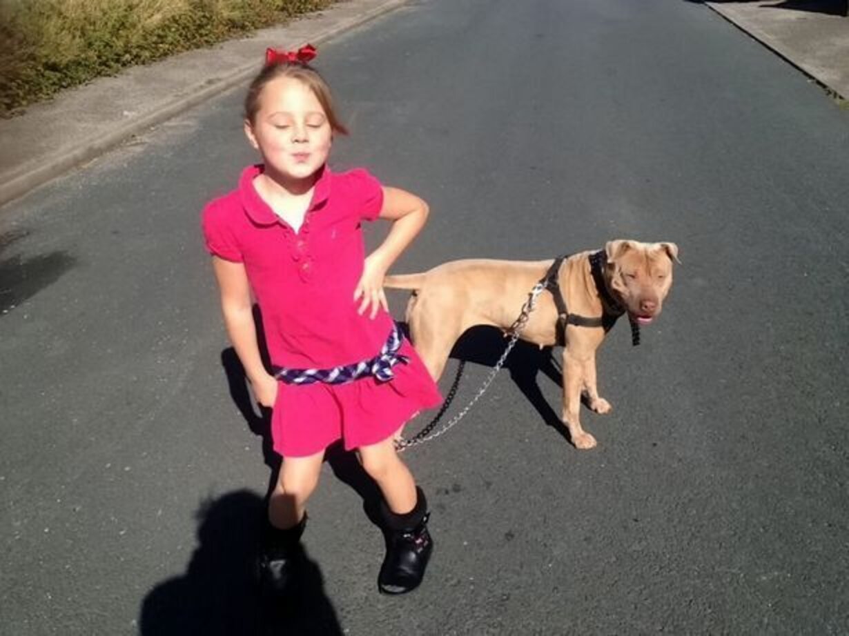 Police Seize 'Pit Bull' Who Helps Little Girl With Autism - The Dodo