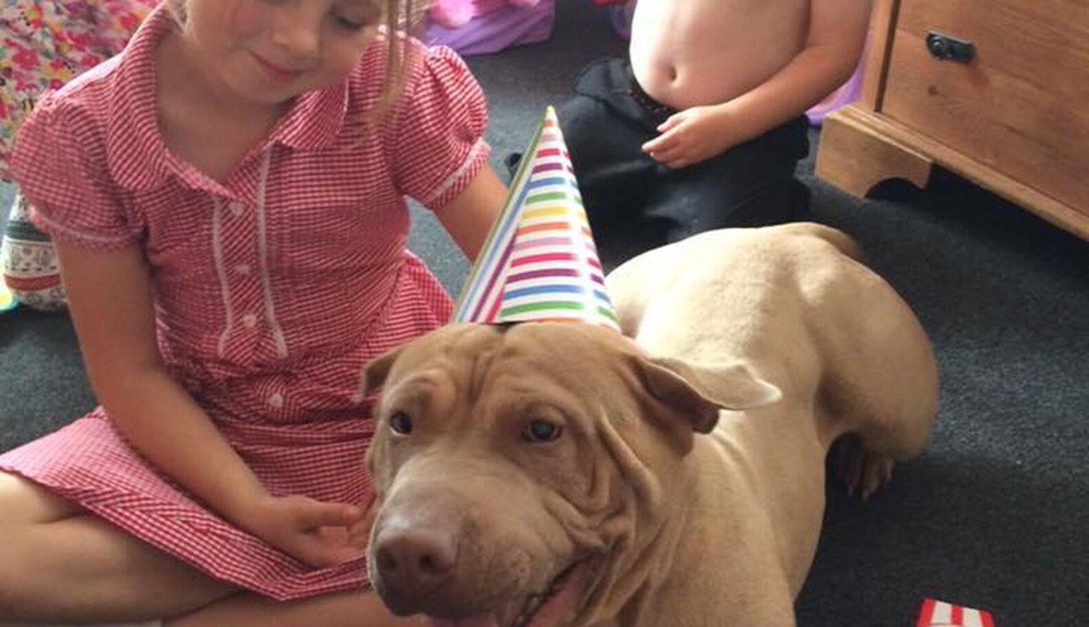 Police Seize 'Pit Bull' Who Helps Little Girl With Autism - The Dodo