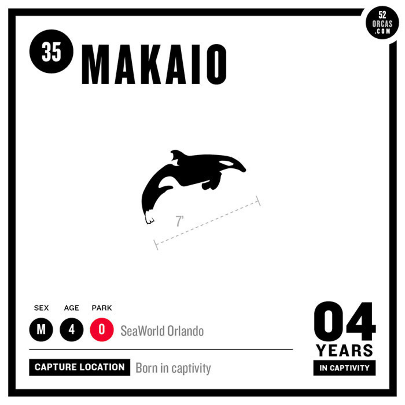 A Week For Every Whale #35. Makaio - The Dodo