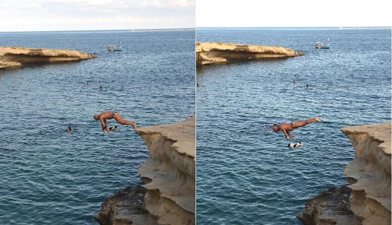 Dog Jumps Off Cliffs With Her Dad — And Loves It - The Dodo